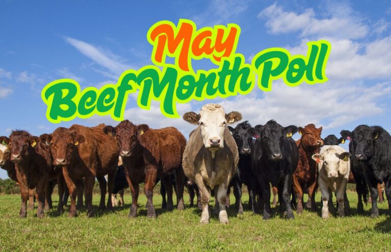 May Beef Month Poll | BIg Country 107.7